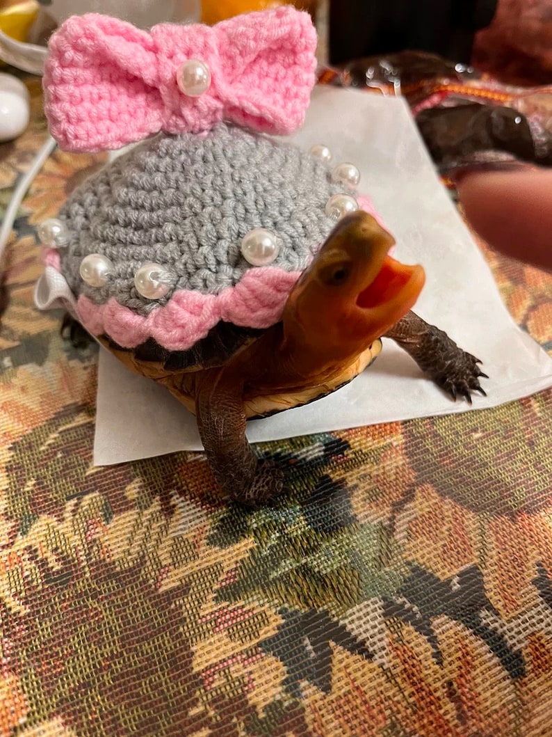 Handcrafted Custom-knit Clothing and Costume Styles for Turtles ...