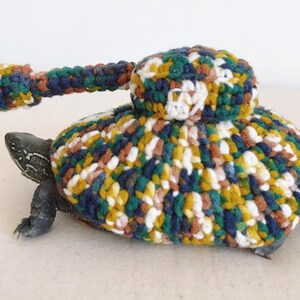 Handcrafted Custom Knit Turtle, Tortoises Sweater, Pet Clothing ...