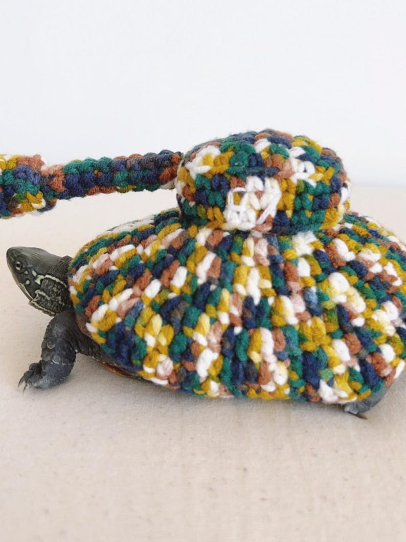Handcrafted Custom Knit Turtle, Tortoises Sweater, Pet Clothing ...