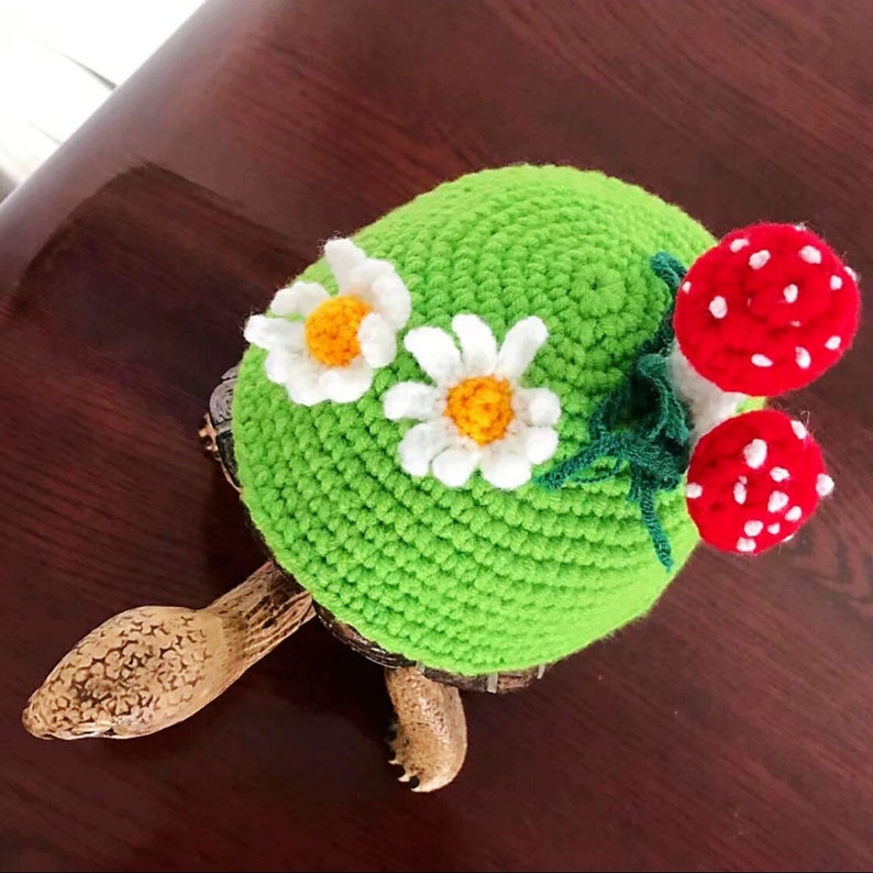 Handcrafted Custom-knit Clothing and Costume Styles for Turtles ...