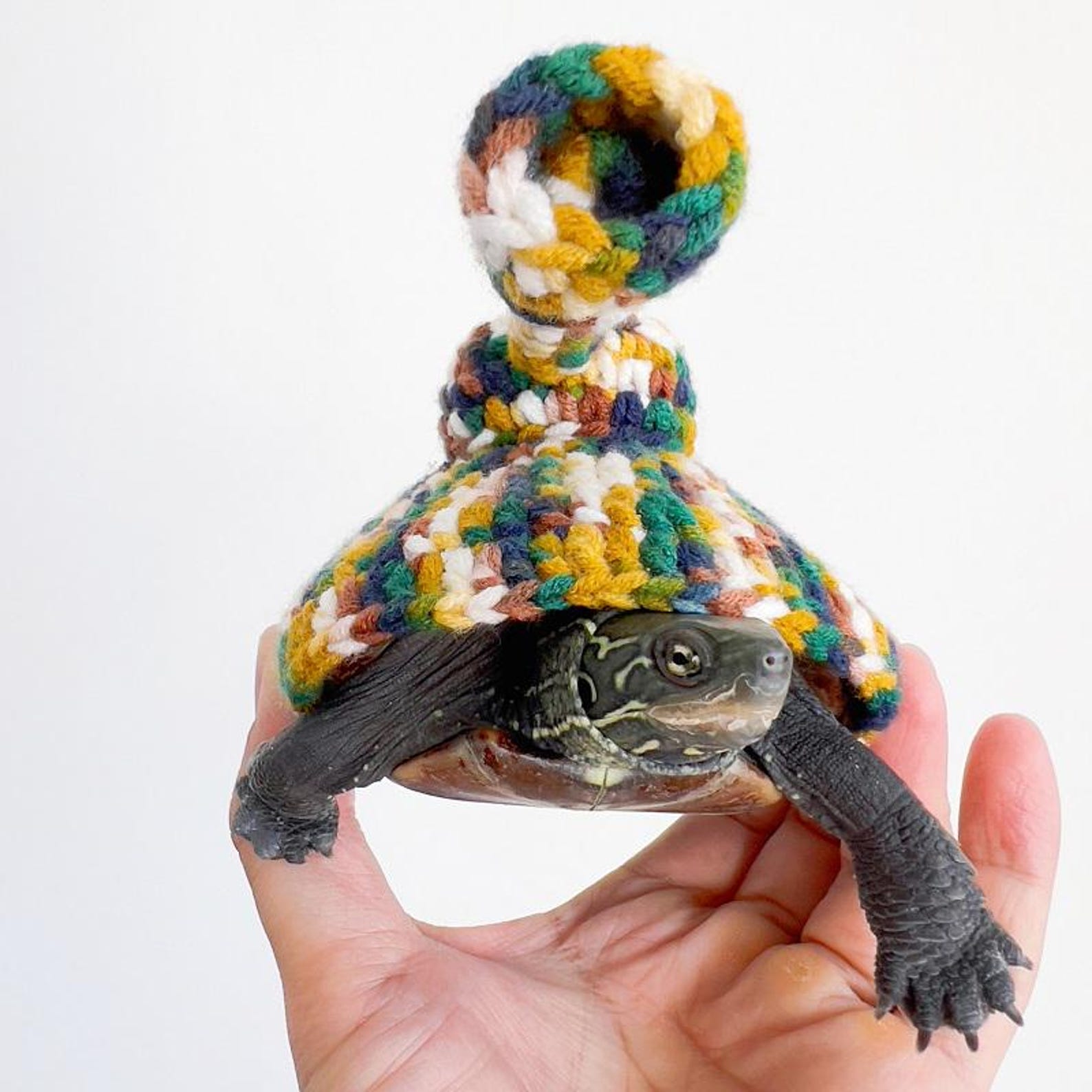 Handcrafted Custom Knit Turtle, Tortoises Sweater, Pet Clothing, Camouflage Tank Style for Land ...
