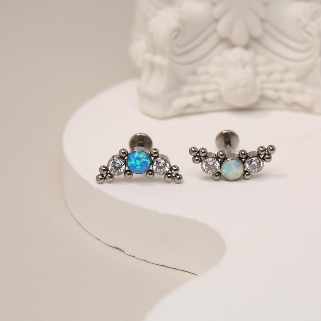 Labret Stud Titanium Flat Back Stud Earrings 16G Tragus Conch Helix ...