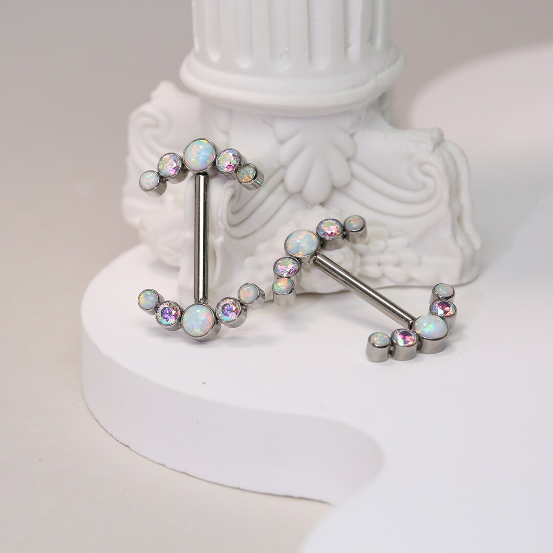 Silver Nipple Barbells- 14G Nipple Rings - G23 Solid Titanium- Nipple ...