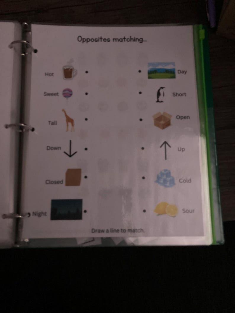 Learning Binder Preschool- Kindergarten Readiness| Busy Book ...