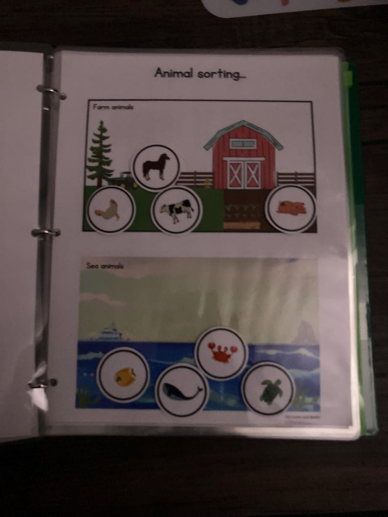 Learning Binder Preschool- Kindergarten Readiness| Busy Book ...