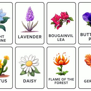 Flower Flashcards, 24 Words - Etsy