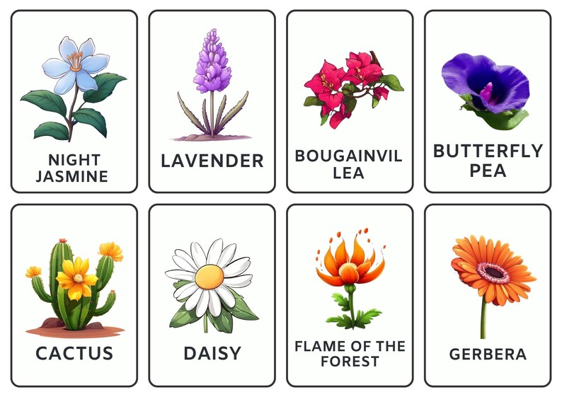 Flower Flashcards, 24 Words - Etsy