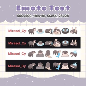 12 Moo Deng Emotes, Baby Hippo Twitch Emote Pack, Pygmy Hippo Discord ...