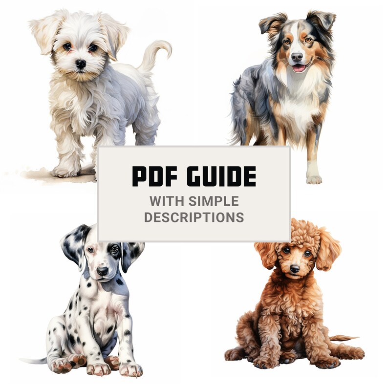 Midjourney Prompts, Dog Prompt, Puppy Illustration, Cute Puppies, Dog ...