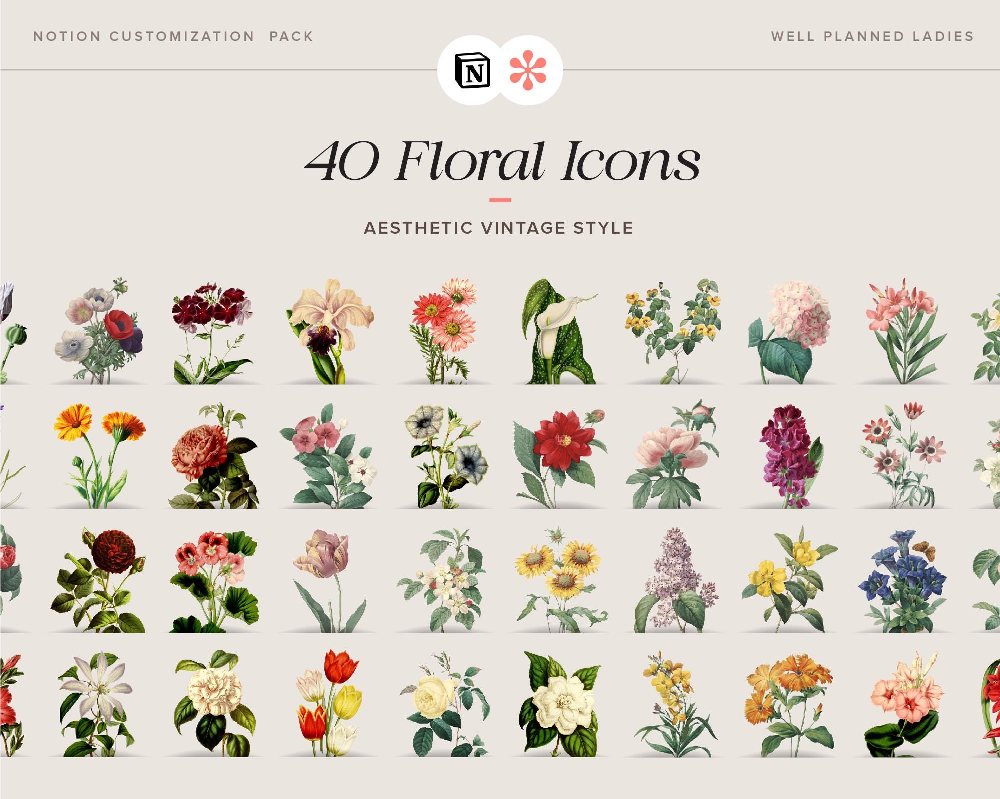 Notion Icon Pack Editable in Canva, Notion Custom Icon Set, Notion ...