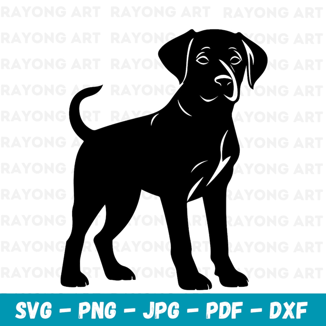 Black Lab SVG Black Labrador SVG Cut Files Labrador SVG Black Lab Png ...