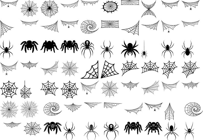 100+ Spider & Spiderweb SVG Bundle | Halloween Spider Web Clipart ...
