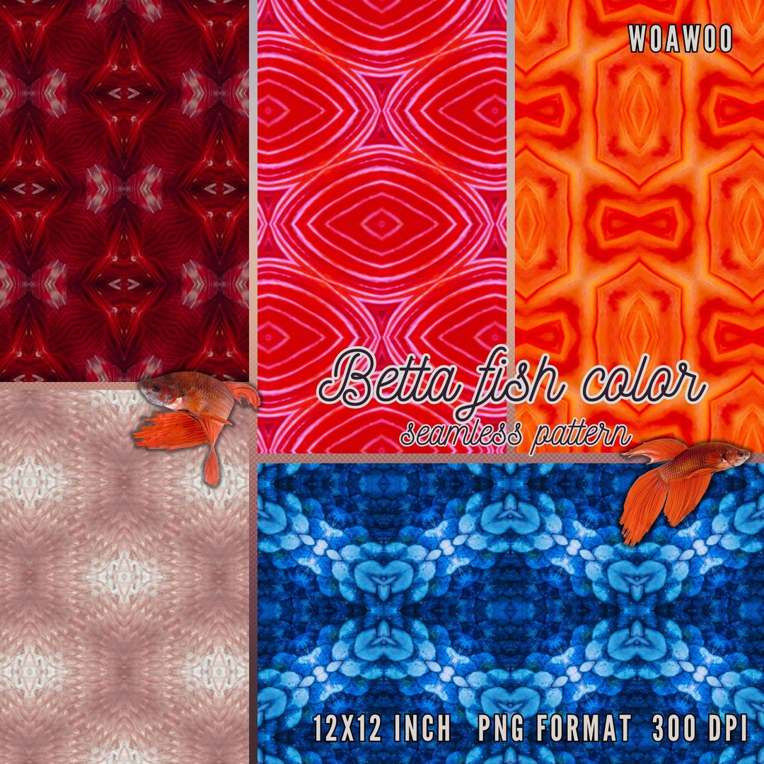 Betta Fish Color Seamless Pattern , Fish Pattern Digital Paper , Fish ...