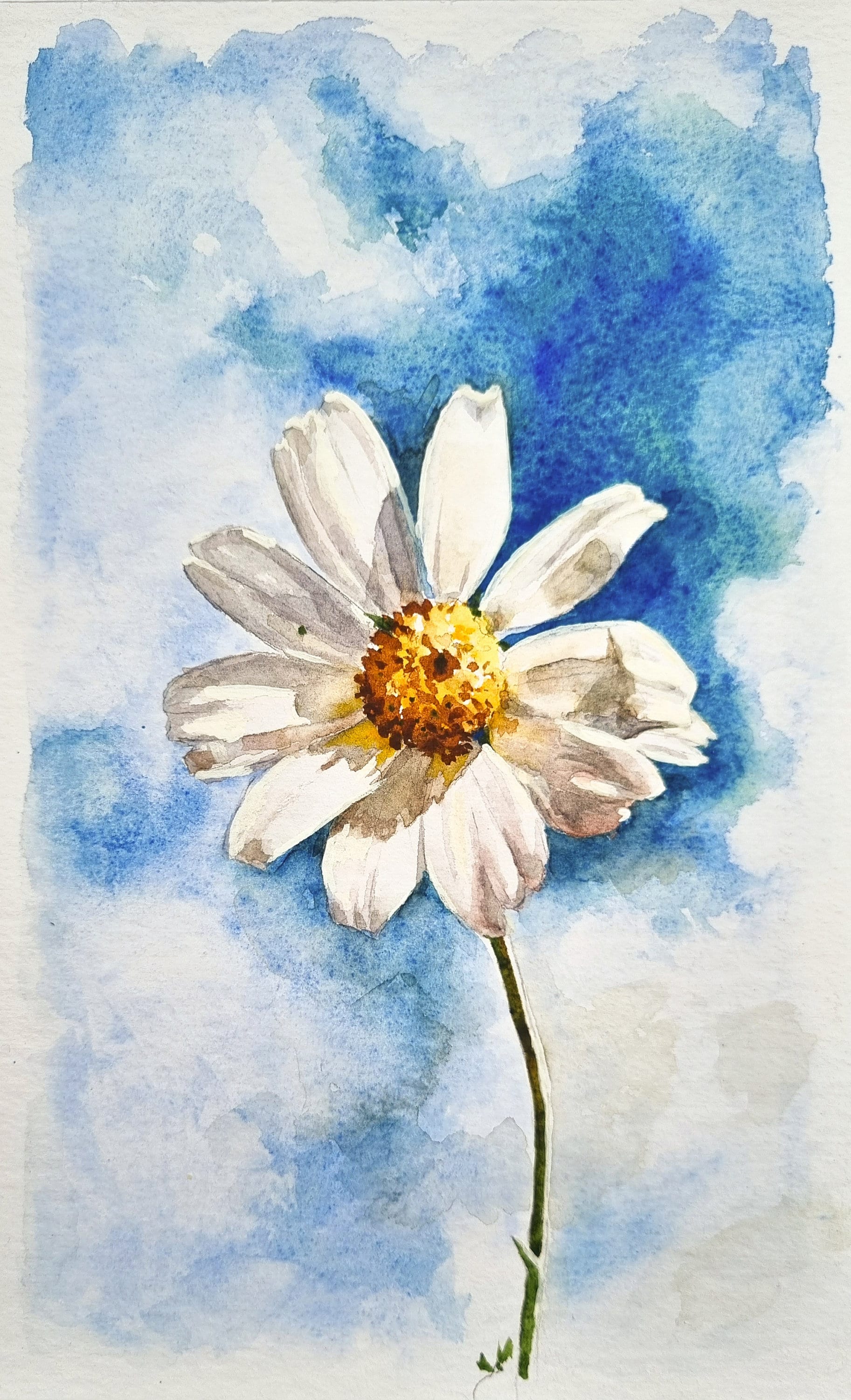 Daisy - Original Painting in Watercolor - Floral Art - Daisy Flower ...