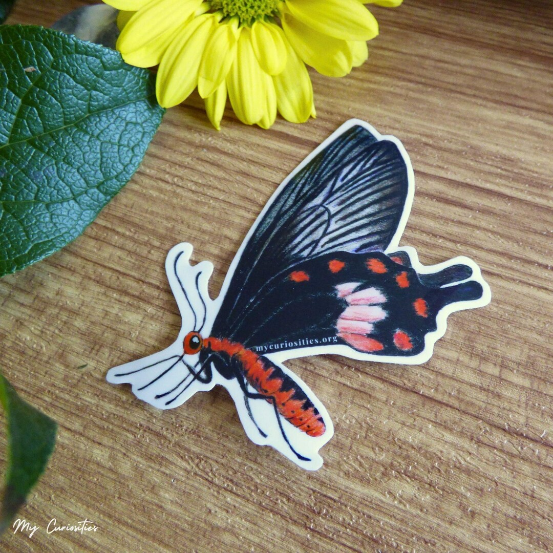 Common Rose Swallow Tail Vinyl Die Cut Sticker - Etsy