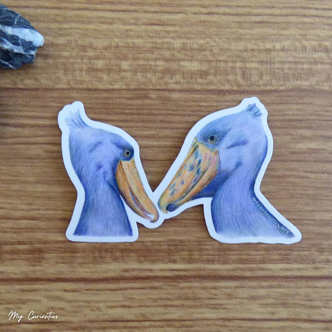 Shoebill Birds Die Cut Sticker - Etsy