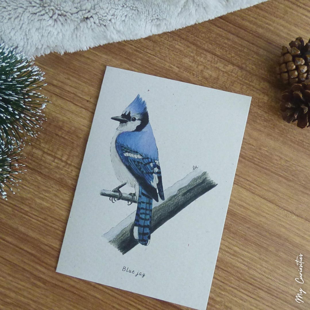 Blue Jay Notecard - Etsy