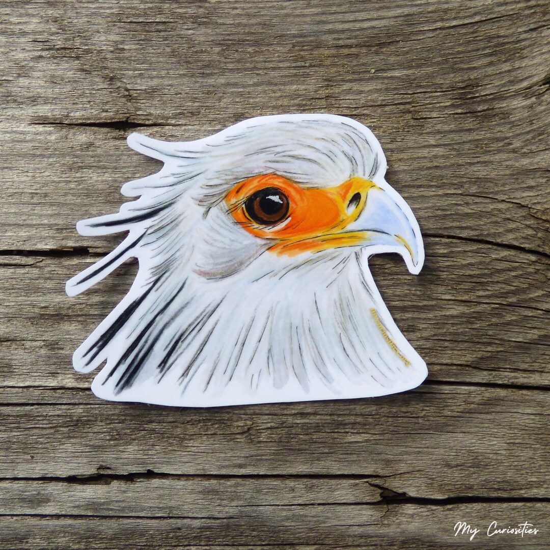 Secretary Bird, Sudanese Bird Vinyl Die Cut Sticker - Etsy