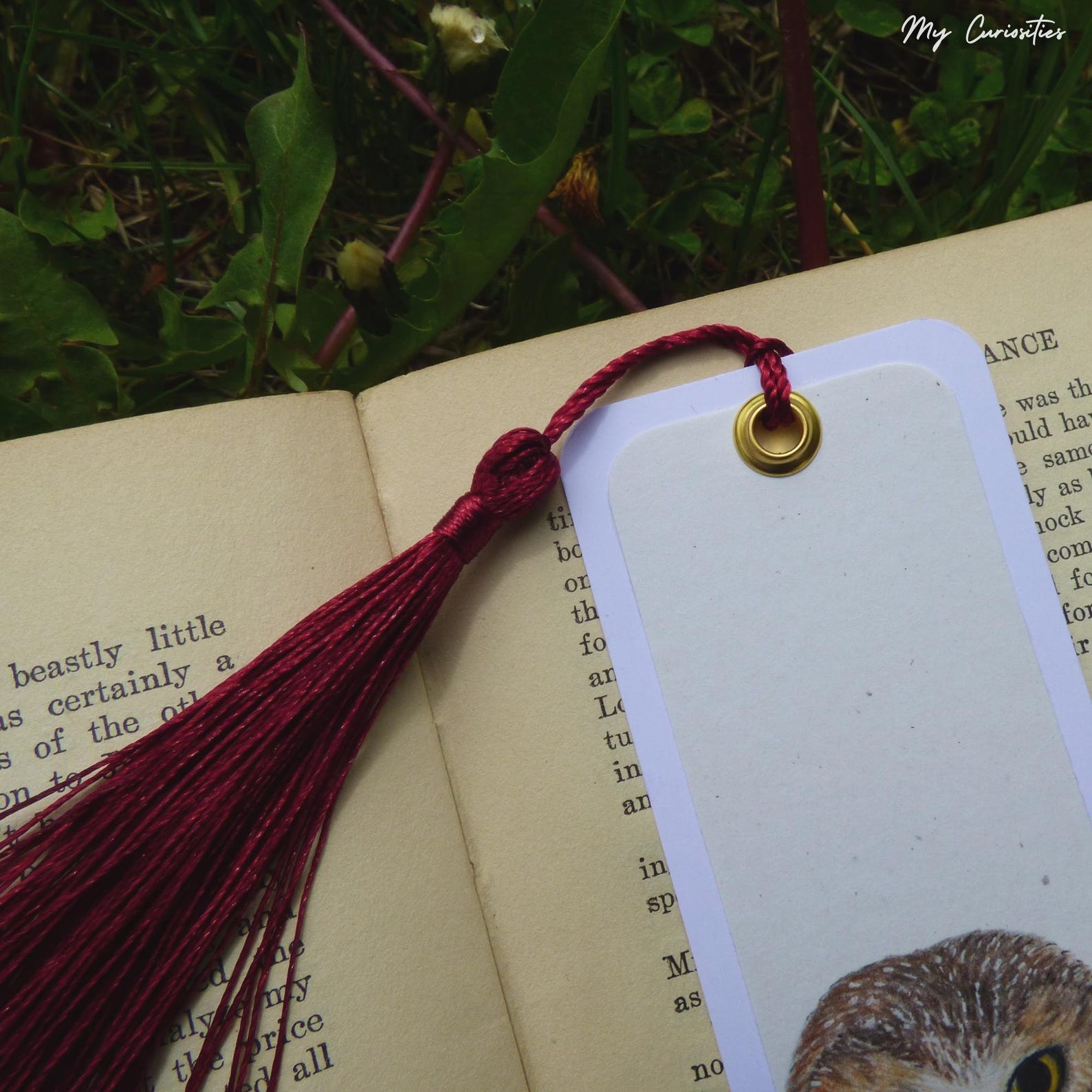 Bookmark Northern Saw-whet Owl - Etsy