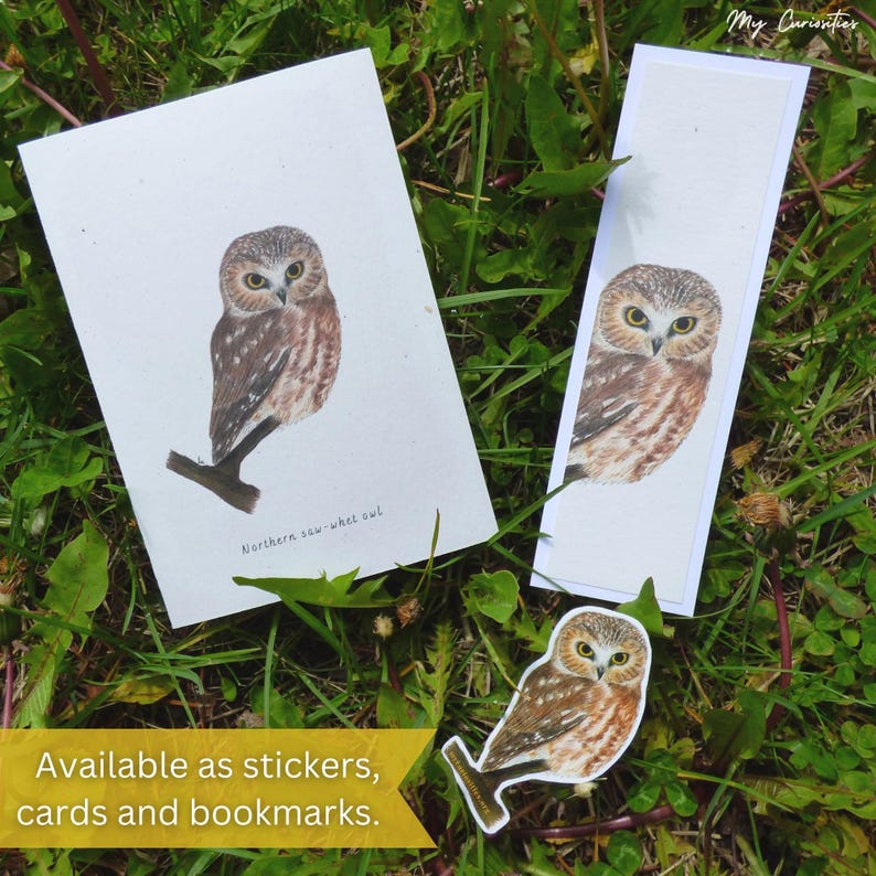 Bookmark Northern Saw-whet Owl - Etsy