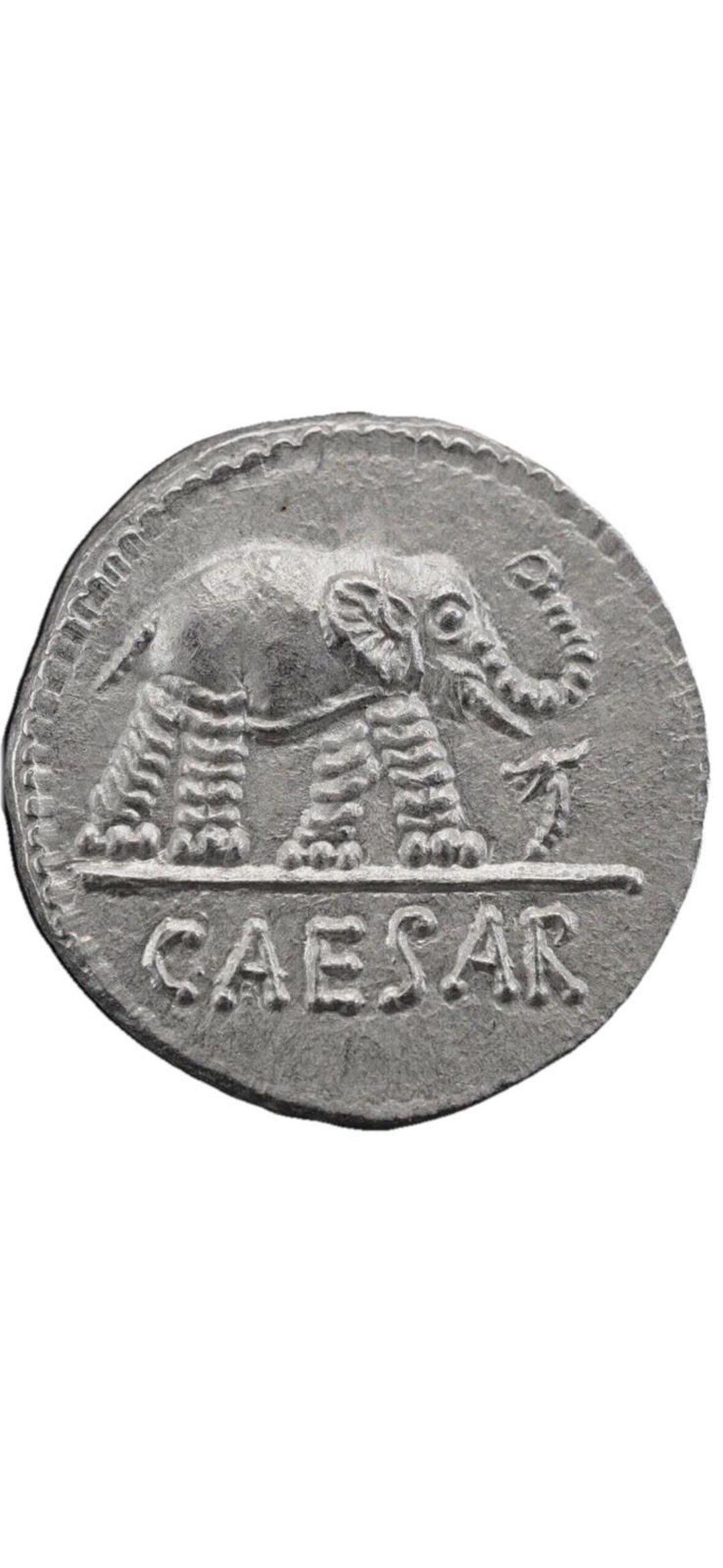 Roman Denarius of Caius Julius Caesar Elephant Modern Coin - Etsy