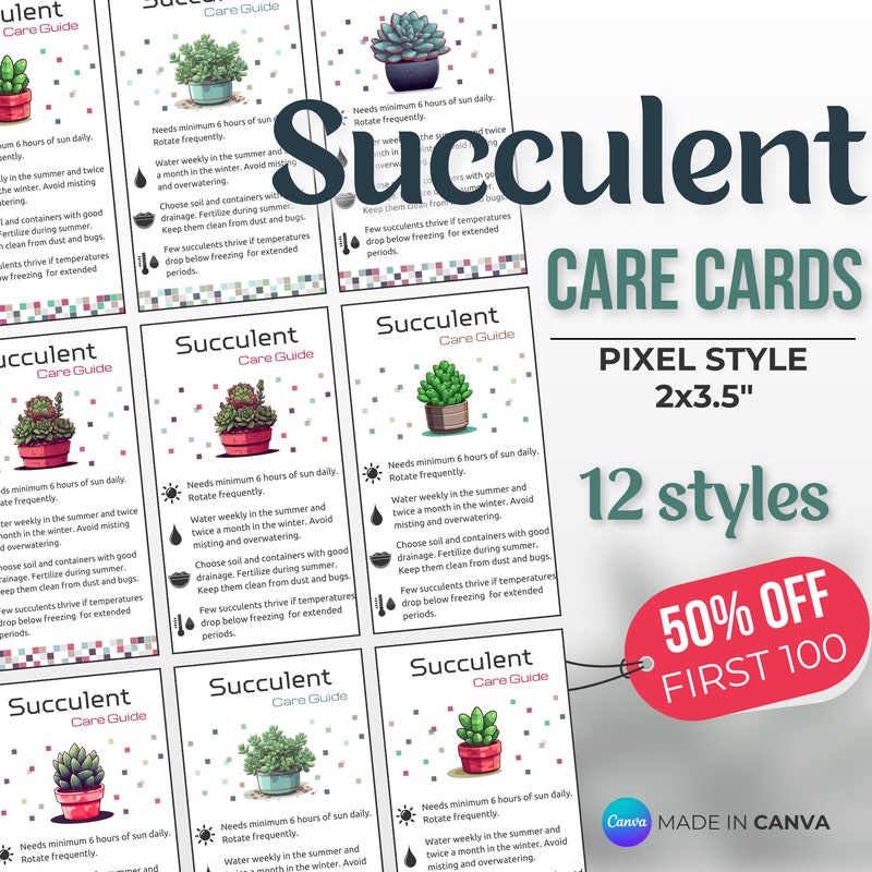 Succulent Plants - Etsy