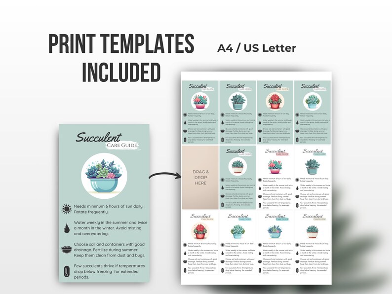 Succulent Care Card, Plant Card, Care Cards, Plant Label, Care Guide ...