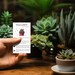 Succulent Care Card, Plant Card, Mini Care Cards, Plant Label, Care ...