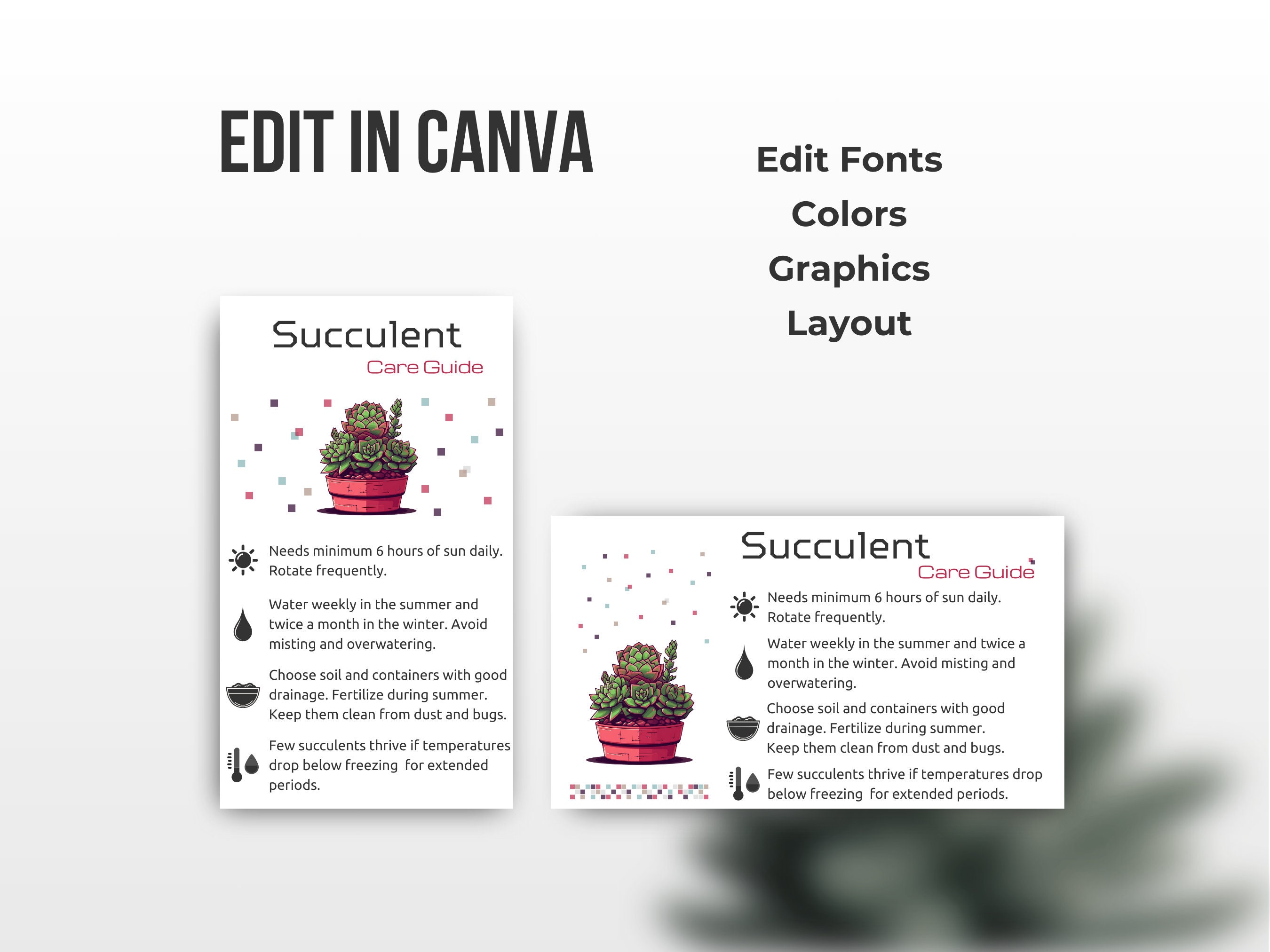 Succulent Care Card, Plant Card, Mini Care Cards, Plant Label, Care ...