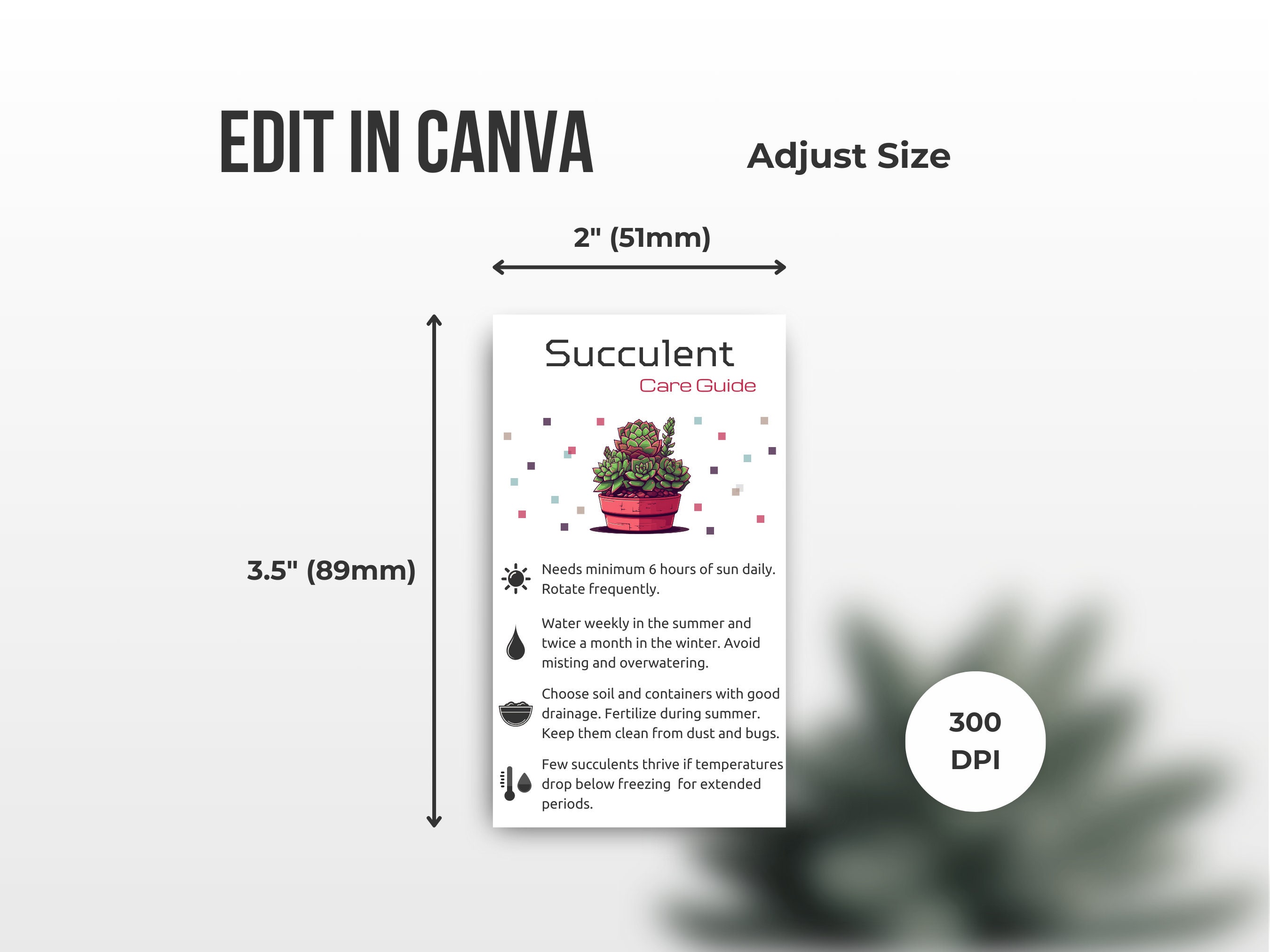 Succulent Care Card, Plant Card, Mini Care Cards, Plant Label, Care ...