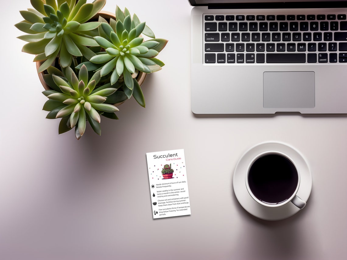 Succulent Care Card, Plant Card, Mini Care Cards, Plant Label, Care ...