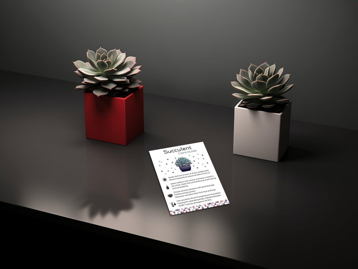 Succulent Care Card, Plant Card, Mini Care Cards, Plant Label, Care ...