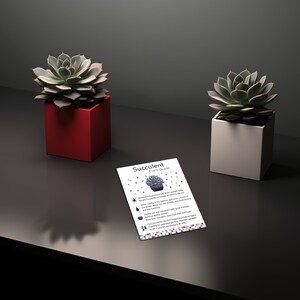 Succulent Care Card, Plant Card, Mini Care Cards, Plant Label, Care ...