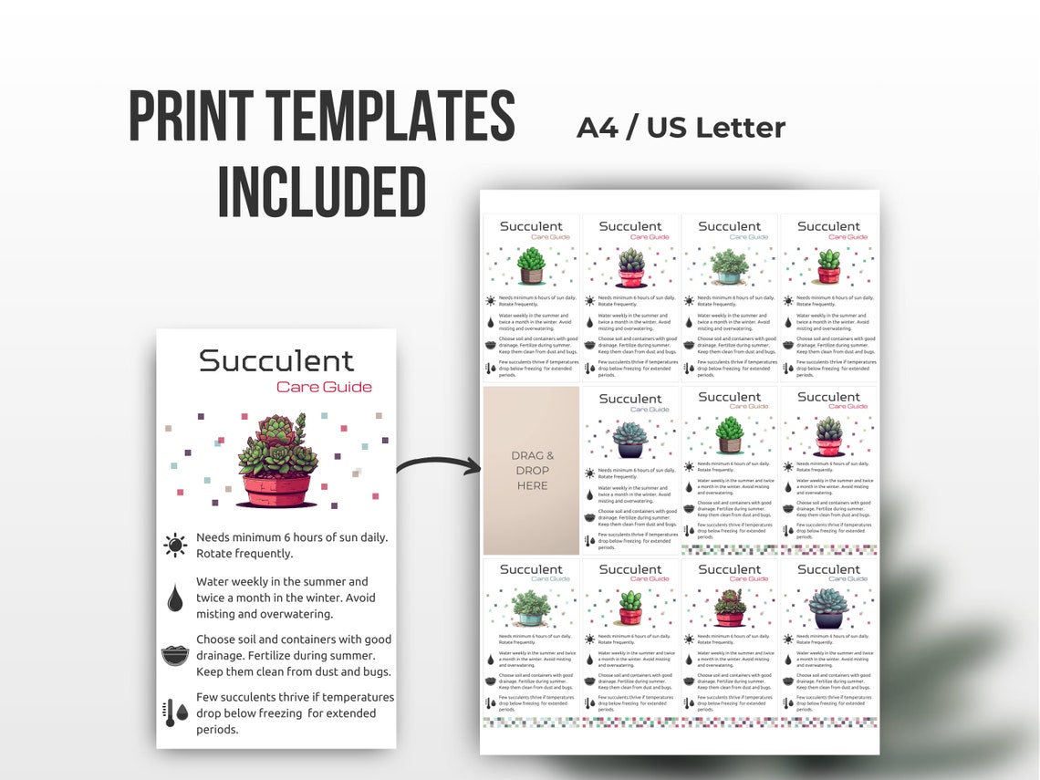 Succulent Care Card, Plant Card, Mini Care Cards, Plant Label, Care ...