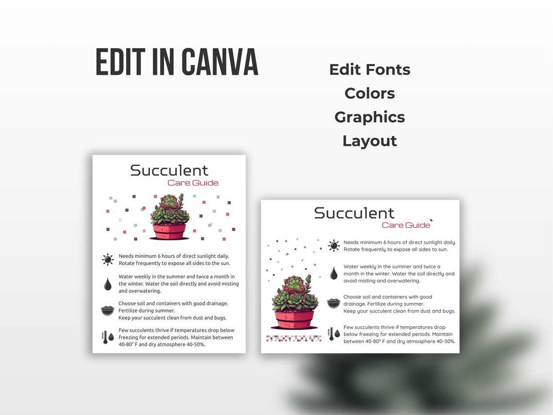 Succulent Care Card, Plant Card, Mini Care Cards, Plant Label, Care ...