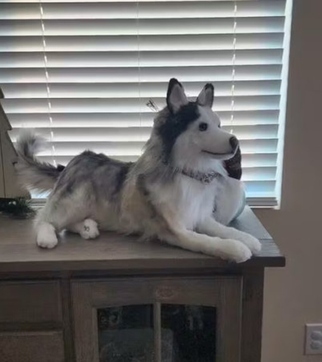 Custom Stuffed Animal Push a Replica of Your Pet Pet Lover High-quality ...