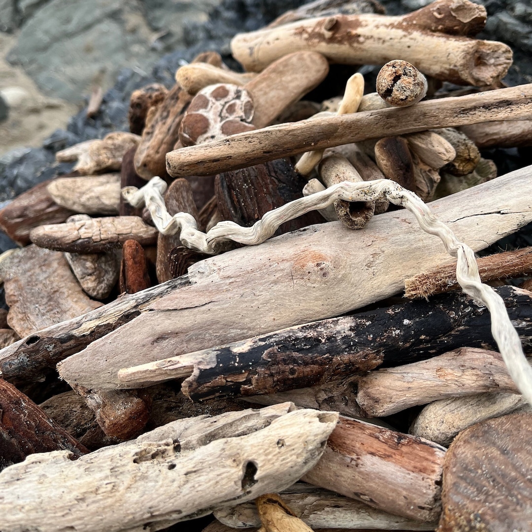 Beautiful Driftwood, Drift Wood, A Tree From the Ocean - Etsy