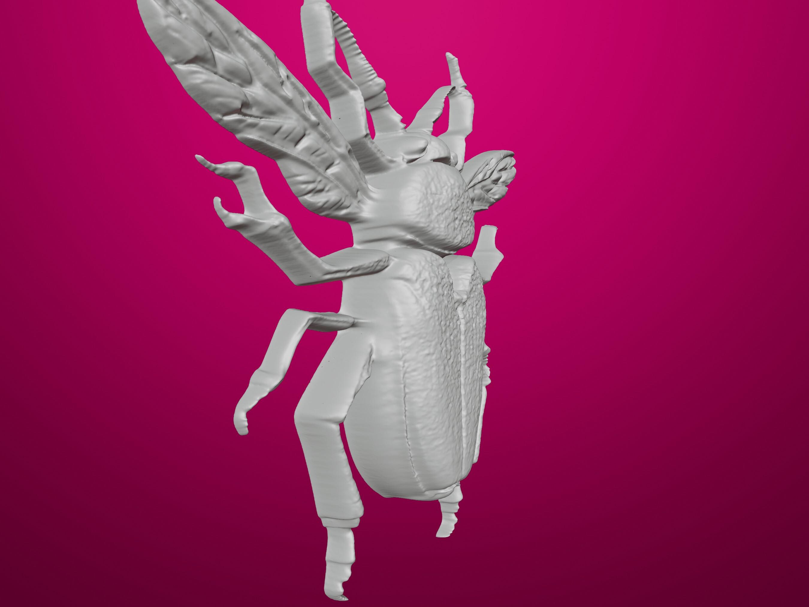 Beetle With Wings Relief 3D STL Model for Aspire Artcam, CNC Carving ...