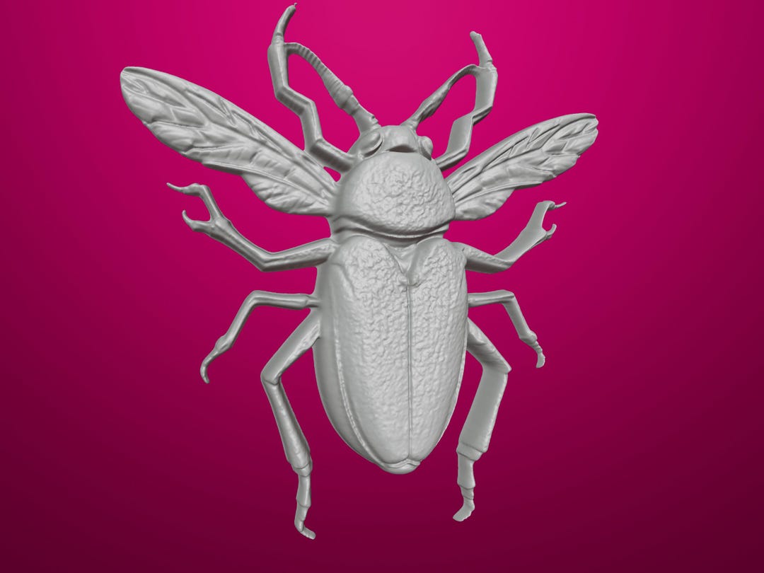 Beetle With Wings Relief 3D STL Model for Aspire Artcam, CNC Carving ...