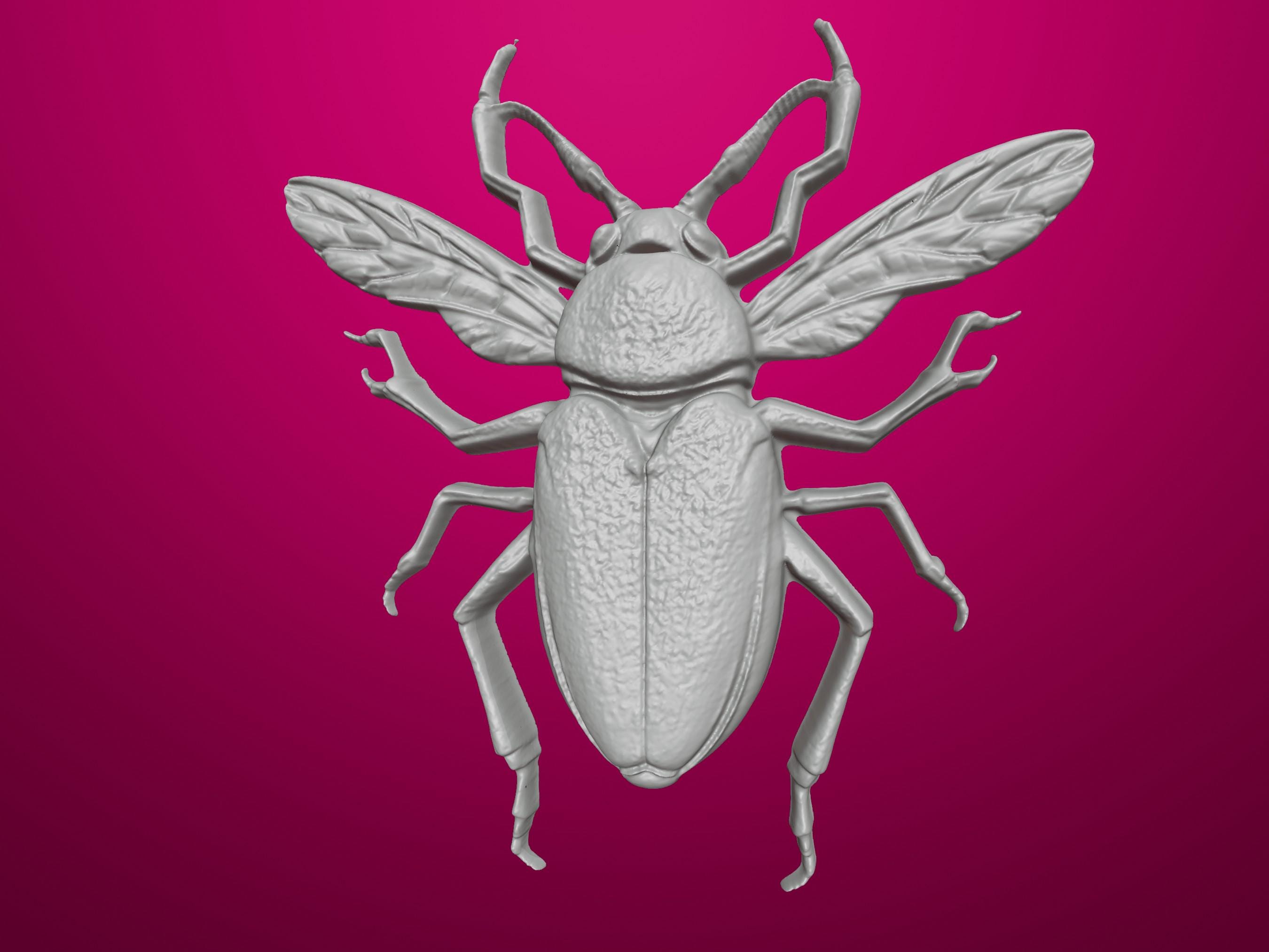 Beetle With Wings Relief 3D STL Model for Aspire Artcam, CNC Carving ...