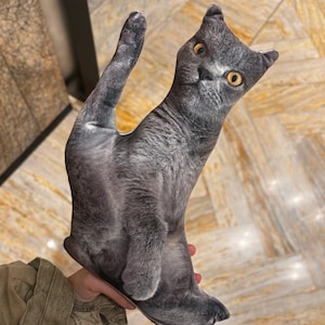 Ugly Cat Pillow, Custom Dog Pillow, Personalized Pet Photo Pillow, Pet ...