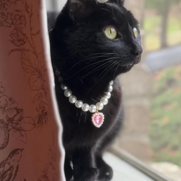 Handmade Elegant Classy Pearl Pet Collar, Pet Pearl Neckwear With Heart ...