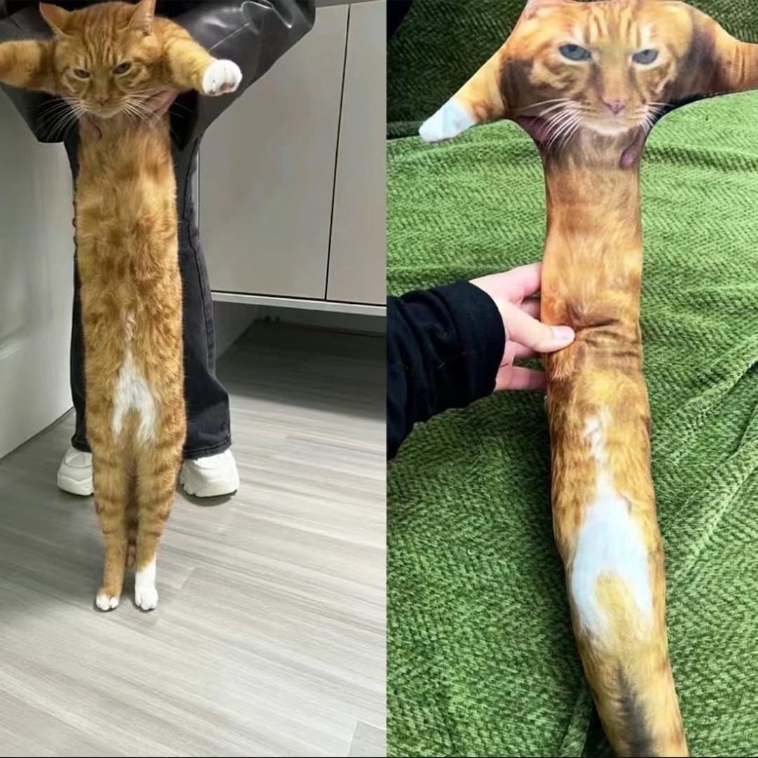 Ugly Cat Pillow, Custom Dog Pillow, Personalized Pet Photo Pillow, Pet ...