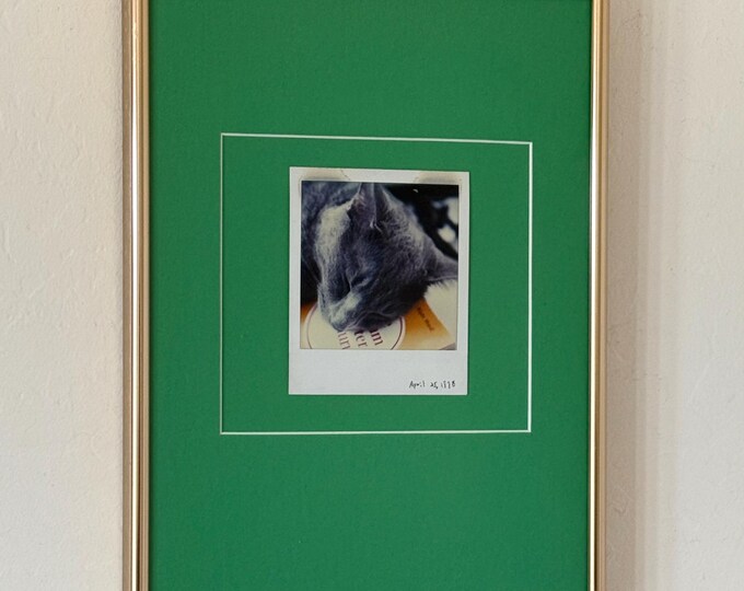 Vintage 98' Polaroid Photograph of Cute Grey Cat Face Art Custom Green ...