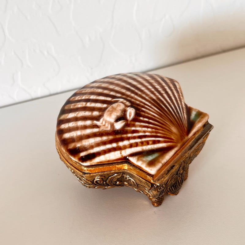 Shell Box - Etsy