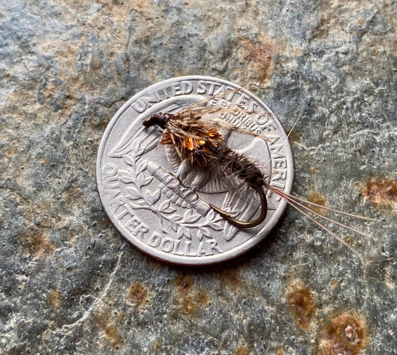 Rusty Trout Bug - Etsy