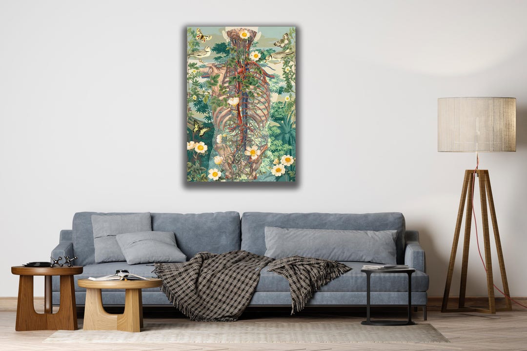 Human Anatomy Poster, Human Body Wall Decor, Doctor Office Art - Etsy