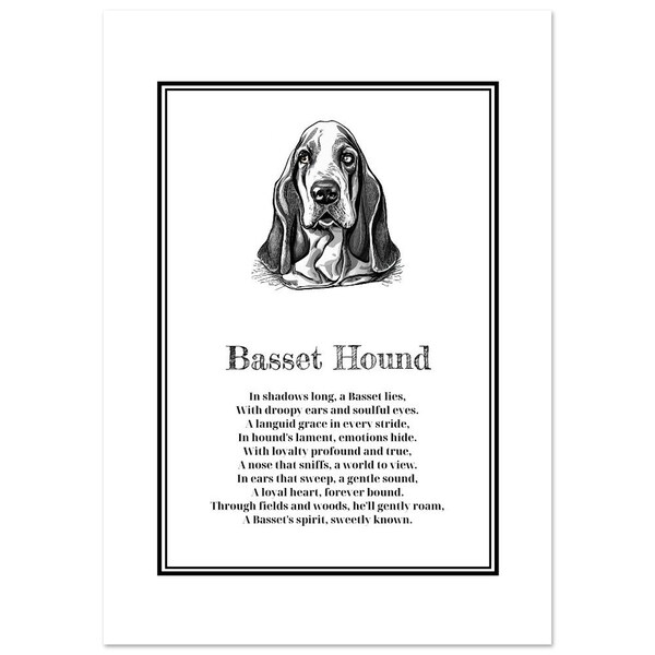 Basset Hound Print - Etsy
