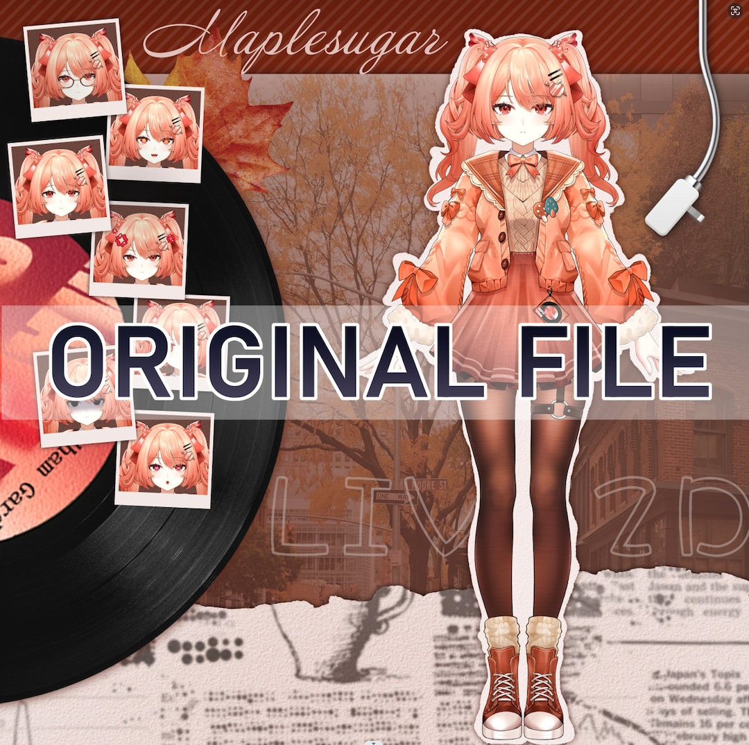 Live2d Vtuber Model: Fully Rigged, Ready to Use (PSD) - Etsy