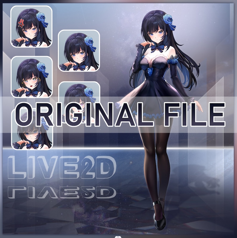 Ready to Use Live2d Vtuber Model: Fully Rigged (PSD) - Etsy